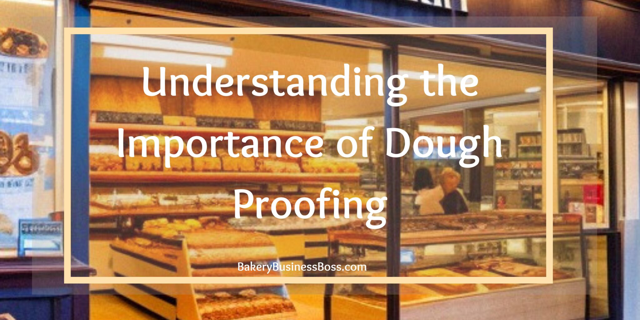 DIY Baking Hack: Constructing Your Own Proofing Box | Bakery Business Boss